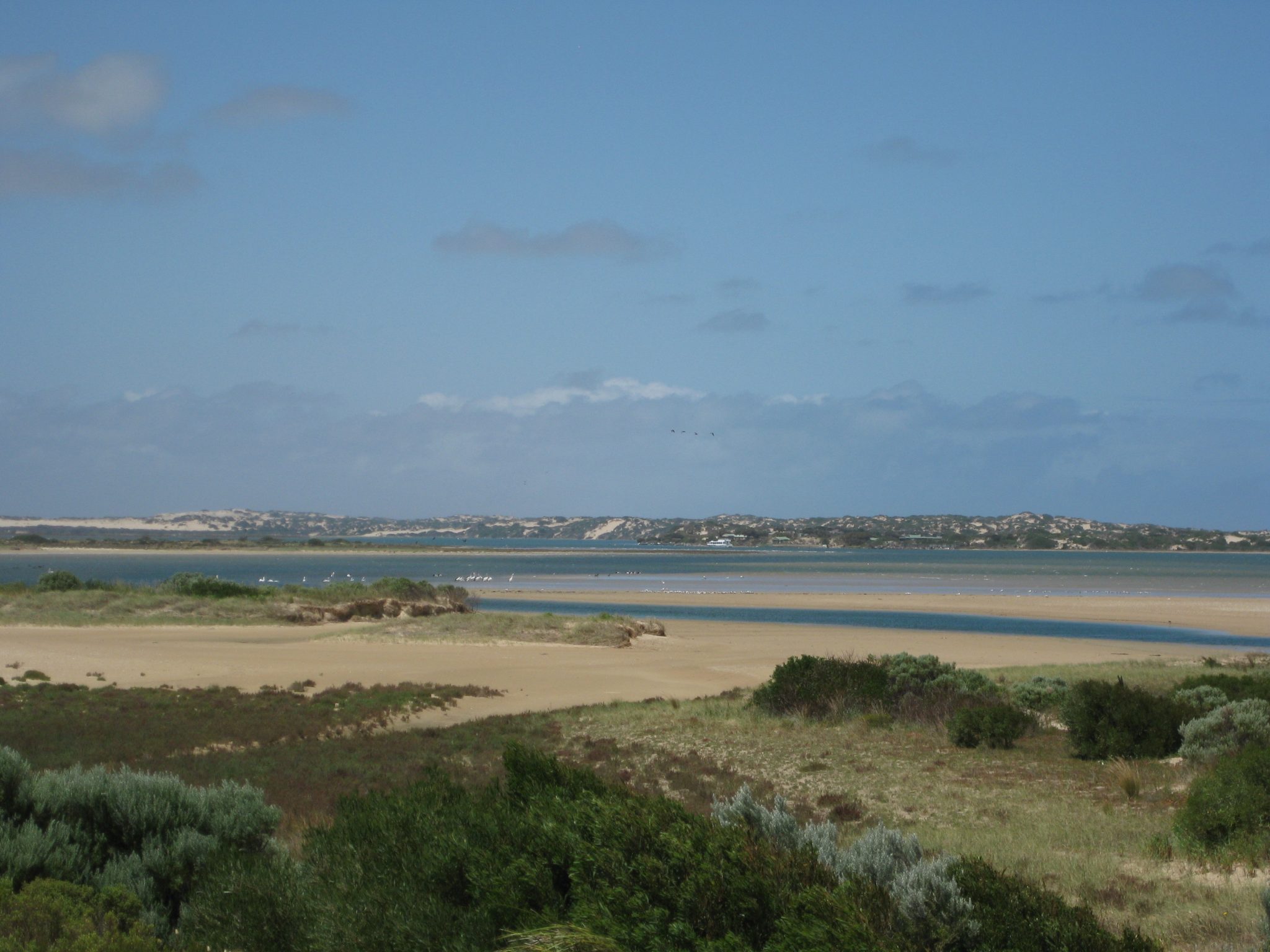 Storm Boy and the Endangered Coorong - Nspirement