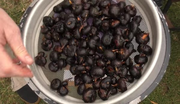 Chinese Recipe: Water Chestnut Cake