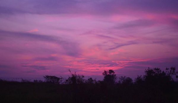 Japan’s Sky Turned Purple Just Before Typhoon Hagibis