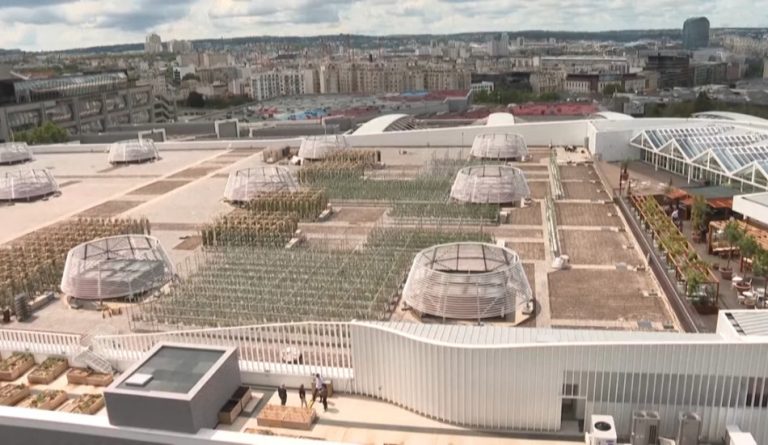One of the Biggest Rooftop Farms Found in Paris - Nspirement
