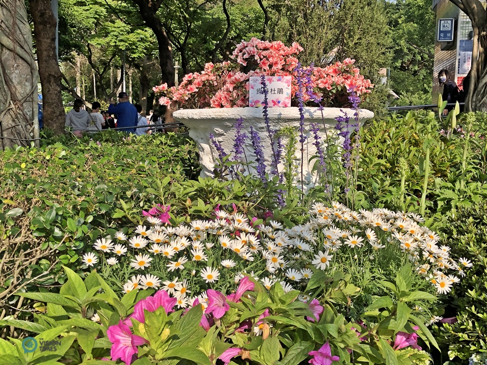 2021 Taipei Azalea Festival - Nspirement