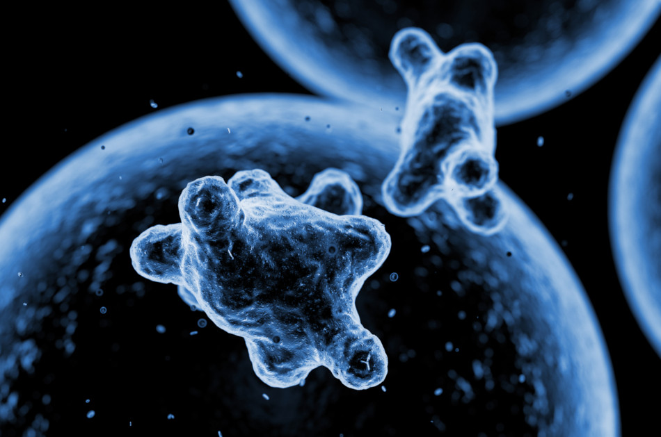 Laboratory Viruses Pose ‘Existential Threat,’ Biosecurity Expert Warns ...