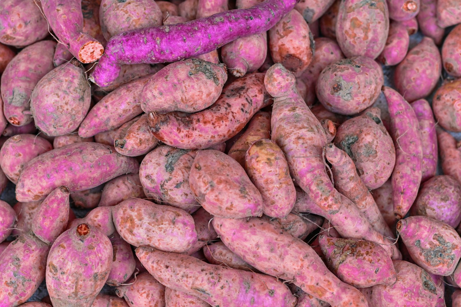 7 Benefits of Purple Yams - Nspirement