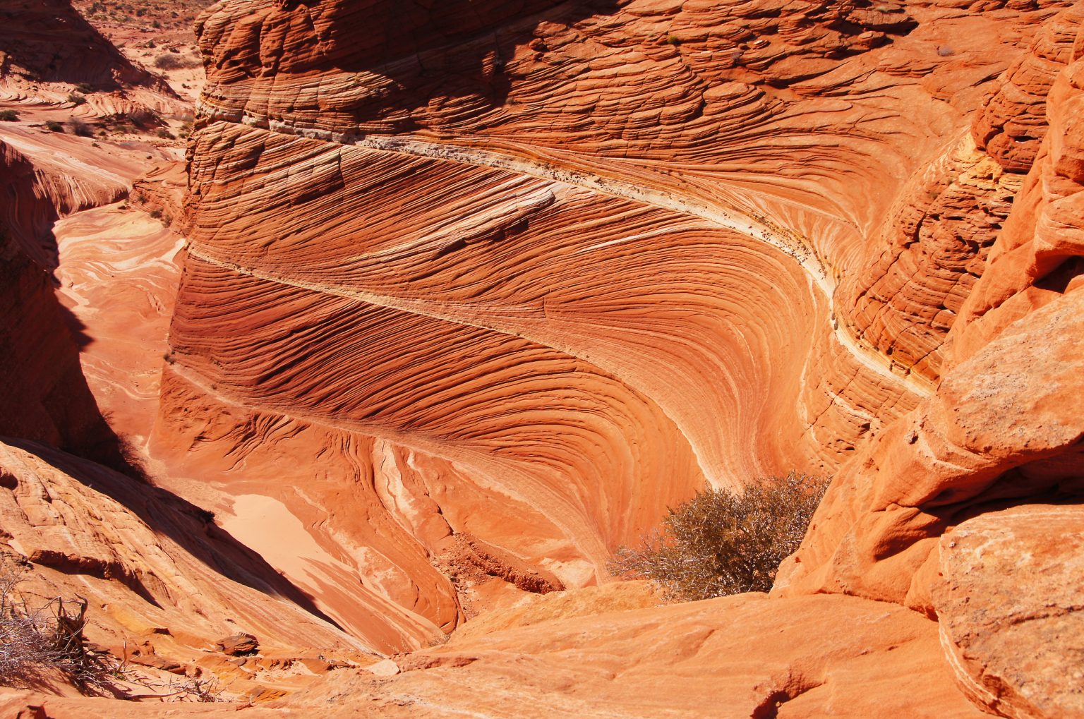 Explore White Pocket: A Geological Wonder in Arizona - Nspirement