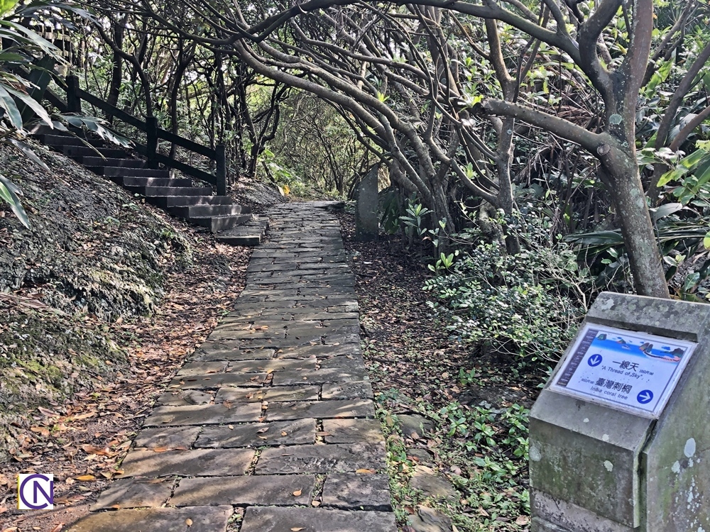 Beiguan Tidal Park Taiwan, With Beautiful Cuesta and Rock Formations ...