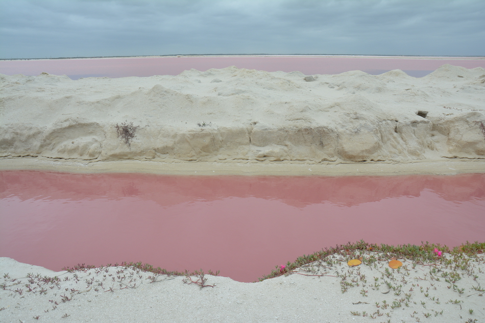 Pink: Travel Our Enchanted Planet by Uplifting Color - Nspirement