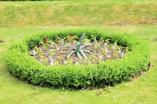 Your One-Stop Guide to Setting Up a Mandala Garden - Nspirement