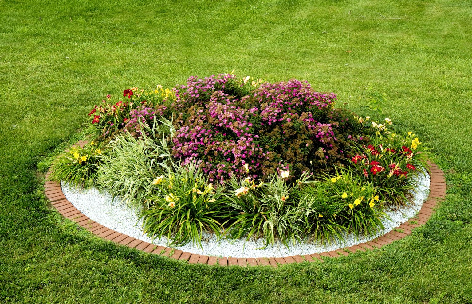 Your One-Stop Guide to Setting Up a Mandala Garden - Nspirement