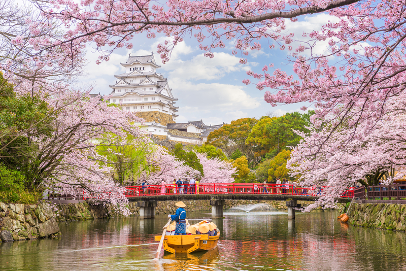 3 Reasons Japanese Culture Is Undeniably Impressive - Nspirement