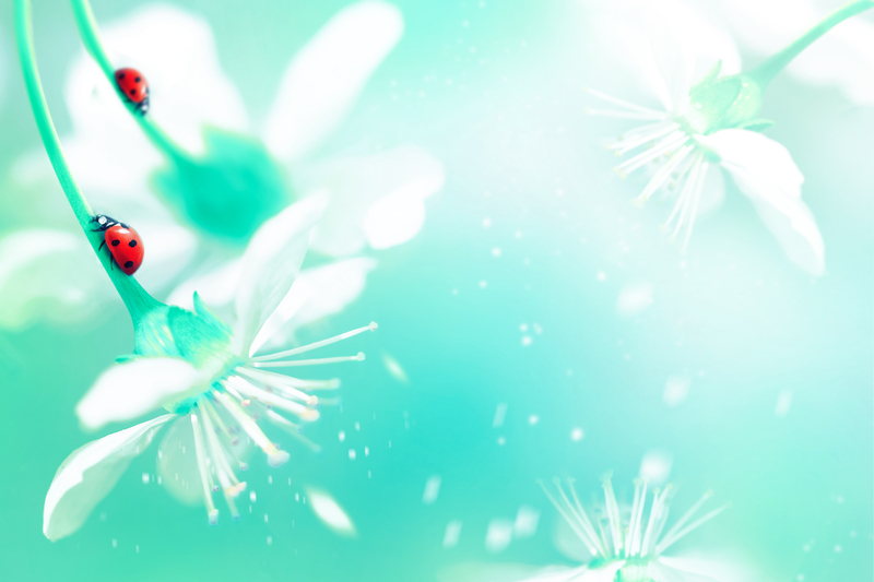 Divine Soul Exists in All Things: Plants and Nature Understand Human ...