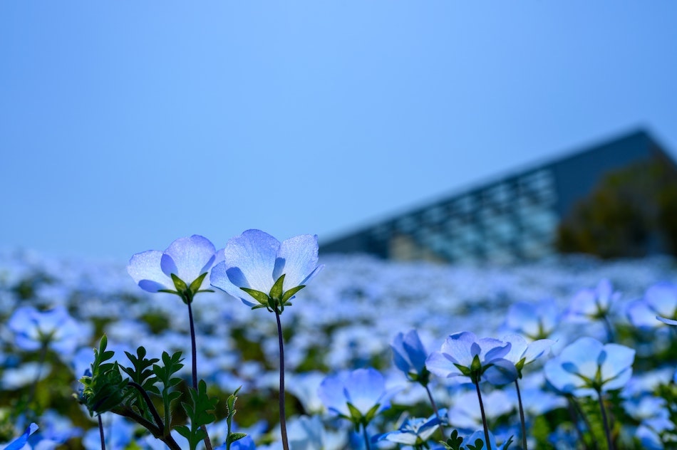 Blue: Travel Our Enchanted Planet by Uplifting Color - Nspirement