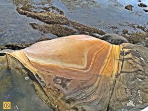 Camel Mountain: Amazing Rock Formations Near Taiwan's Taipei - Nspirement