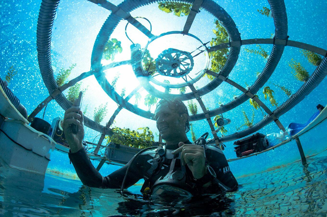 Discover the World’s First Underwater Garden for Terrestrial Plants ...