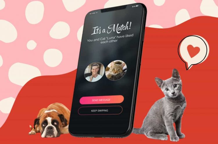 A German Animal Shelter Creates Inspiring Tinder Profiles for Cats and ...