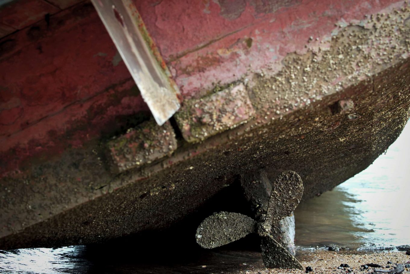 This Barnacle-Inspired Glue Stops Heavy Bleeding Fast - Nspirement