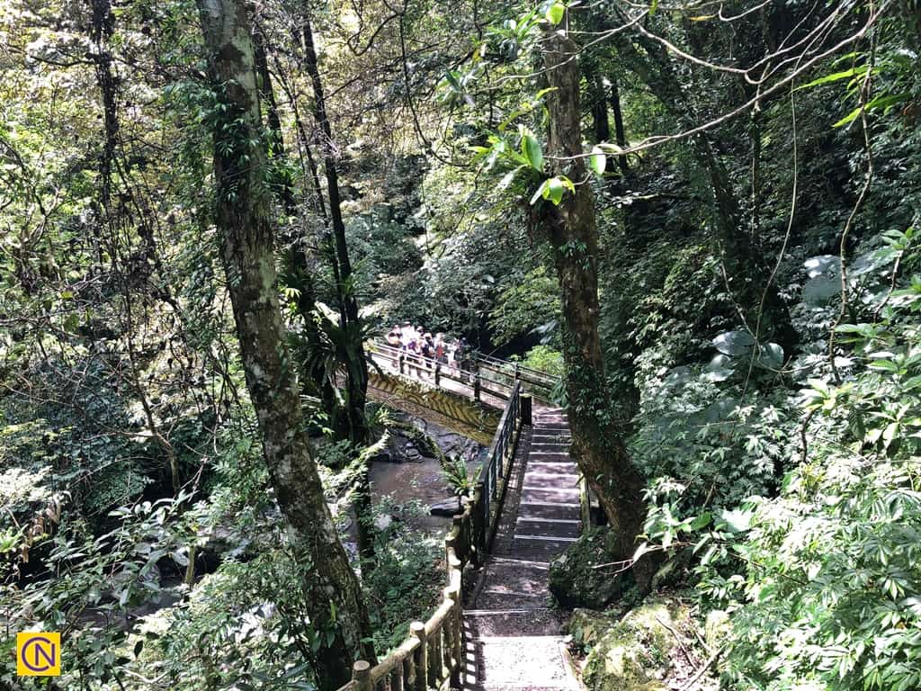 The Fascinating Manyueyuan National Forest Recreation Area in Taiwan ...
