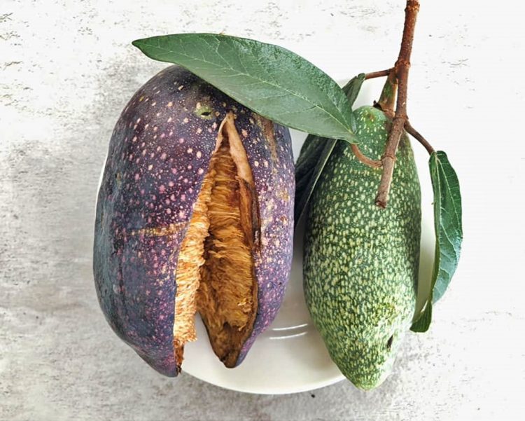 Aiyu Is a Plant That Only Grows in Taiwan - Nspirement