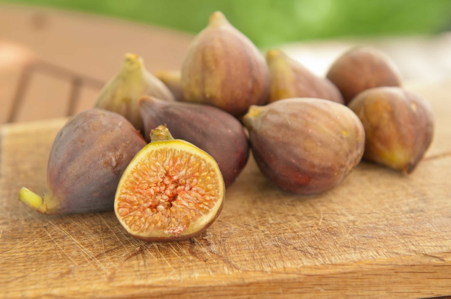Italy’s Tradition of Fig Trees Are Thriving in American Gardens ...