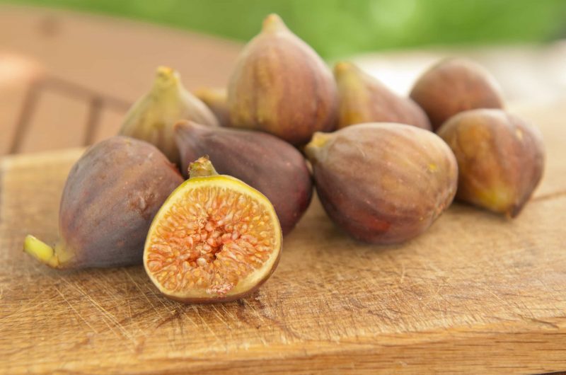 Italy’s Tradition of Fig Trees Are Thriving in American Gardens