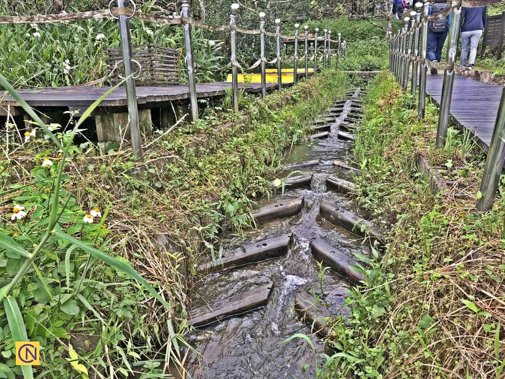 Yilan Longtan Lake Has Fascinating Walking Trails and Fish Ladders ...