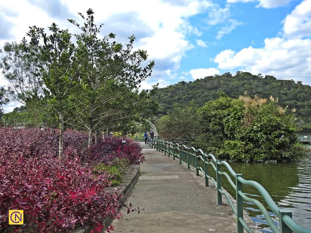 Yilan Longtan Lake Has Fascinating Walking Trails and Fish Ladders ...
