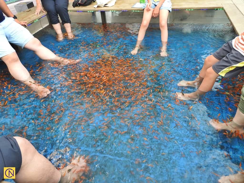 Jiaoxi, an Exquisite Township and Hot Spring in Taiwan - Nspirement