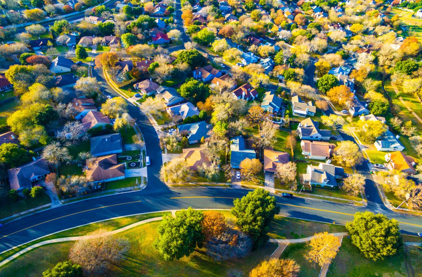 How Do Trees and Plants Act as Natural Air Conditioners? - Nspirement