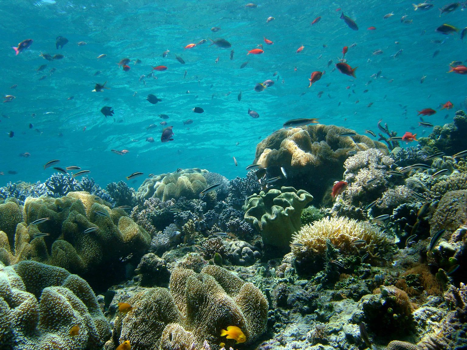 Skystone: The Fascinating Alien Stones That Fall on Earth - Nspirement