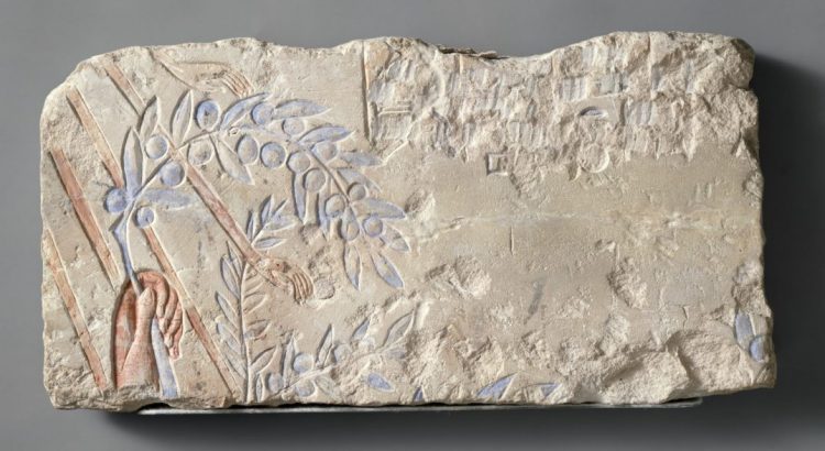 How to Make Ancient Egyptian Olive Oil