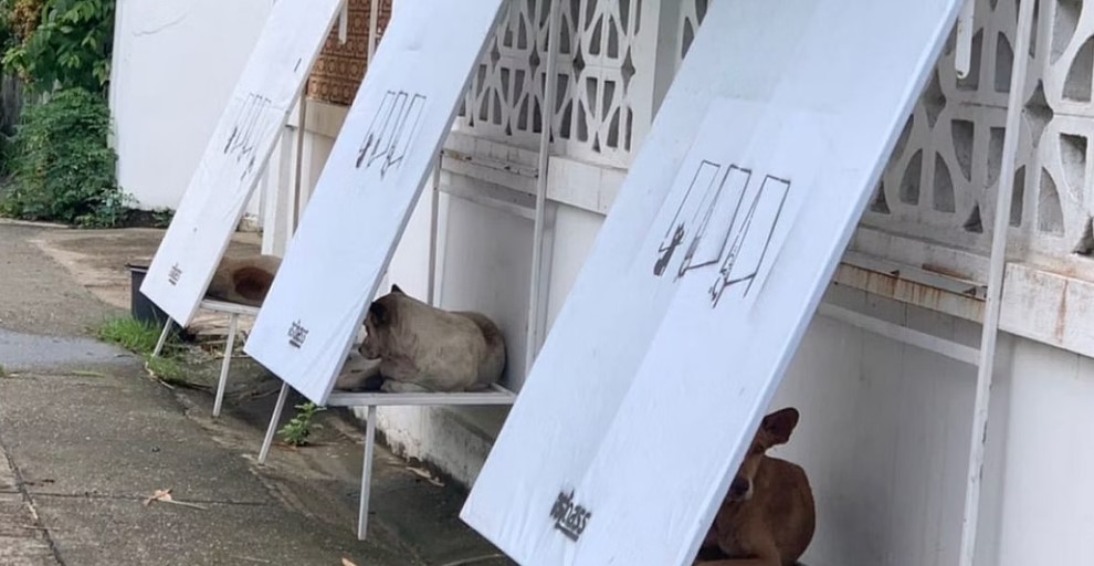 Thai Design Student Creates Shelters Made of Billboards for Stray Dogs ...