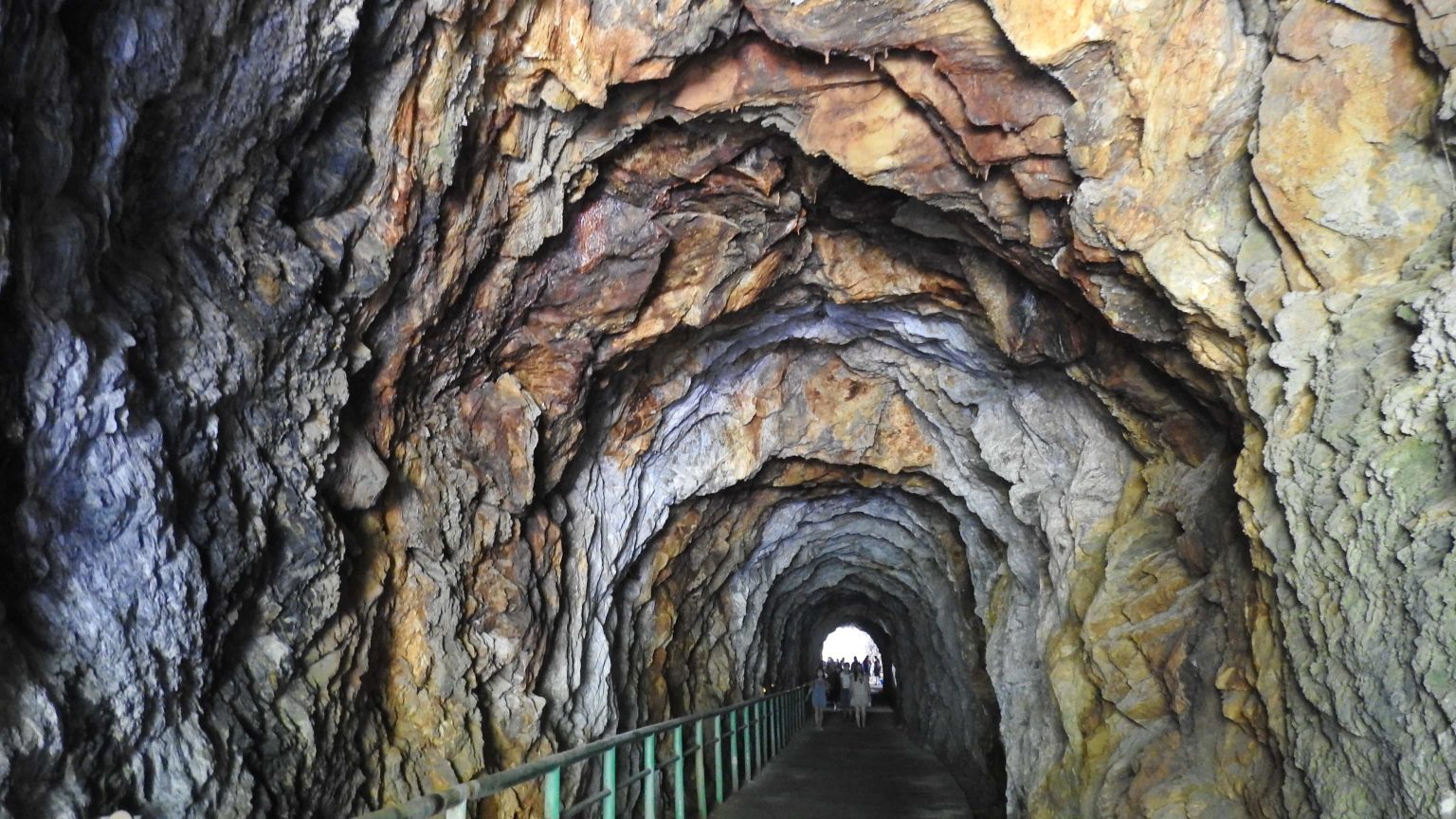 The Role of Cicadas in Chinese Culture - Nspirement