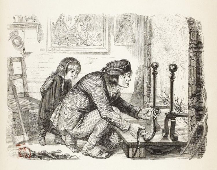 The Amazing Wild Horses of Turkey - Nspirement