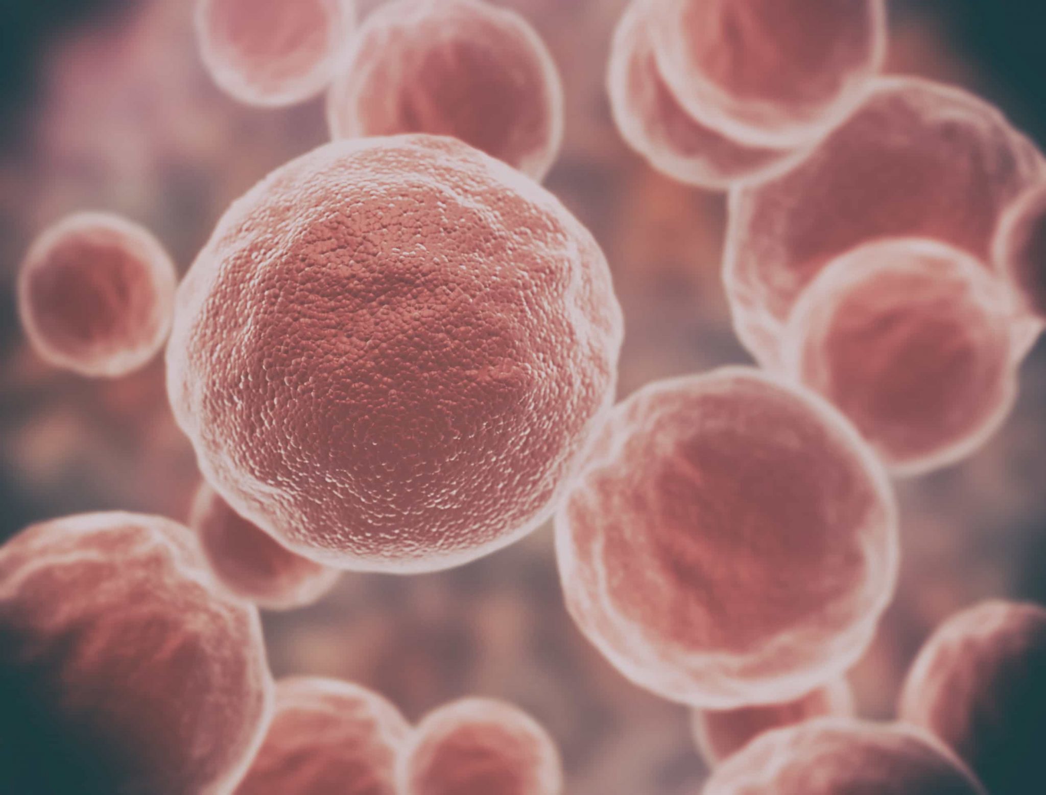 Positive Qi: Integrating Mind, Body and Spirit to Conquer Cancer ...