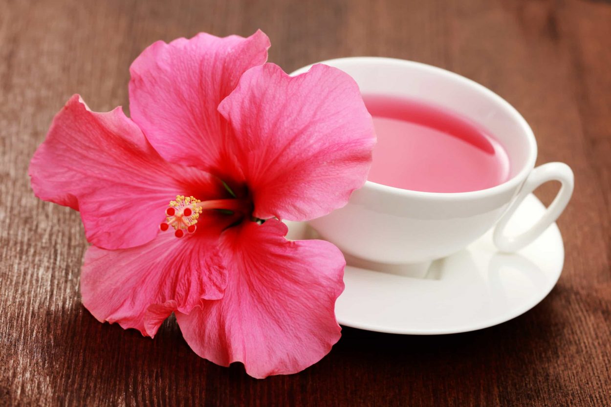5 Flower Teas: A Cup of Nourishment and Inner Calm - Nspirement