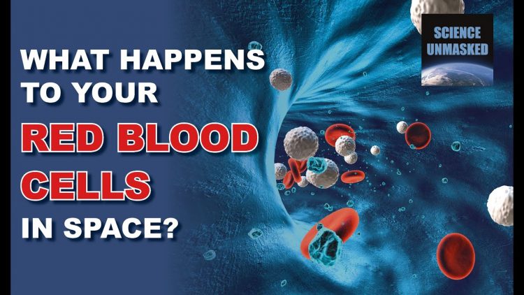 What Happens to Your Red Blood Cells While in Space?