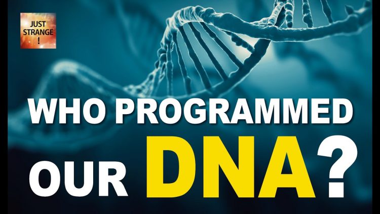 Who Programmed Our DNA?