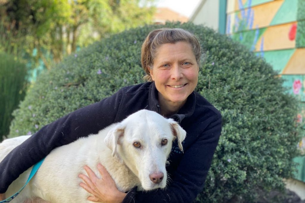 The Organization Helping Senior Owners Keep Their Dogs - Nspirement
