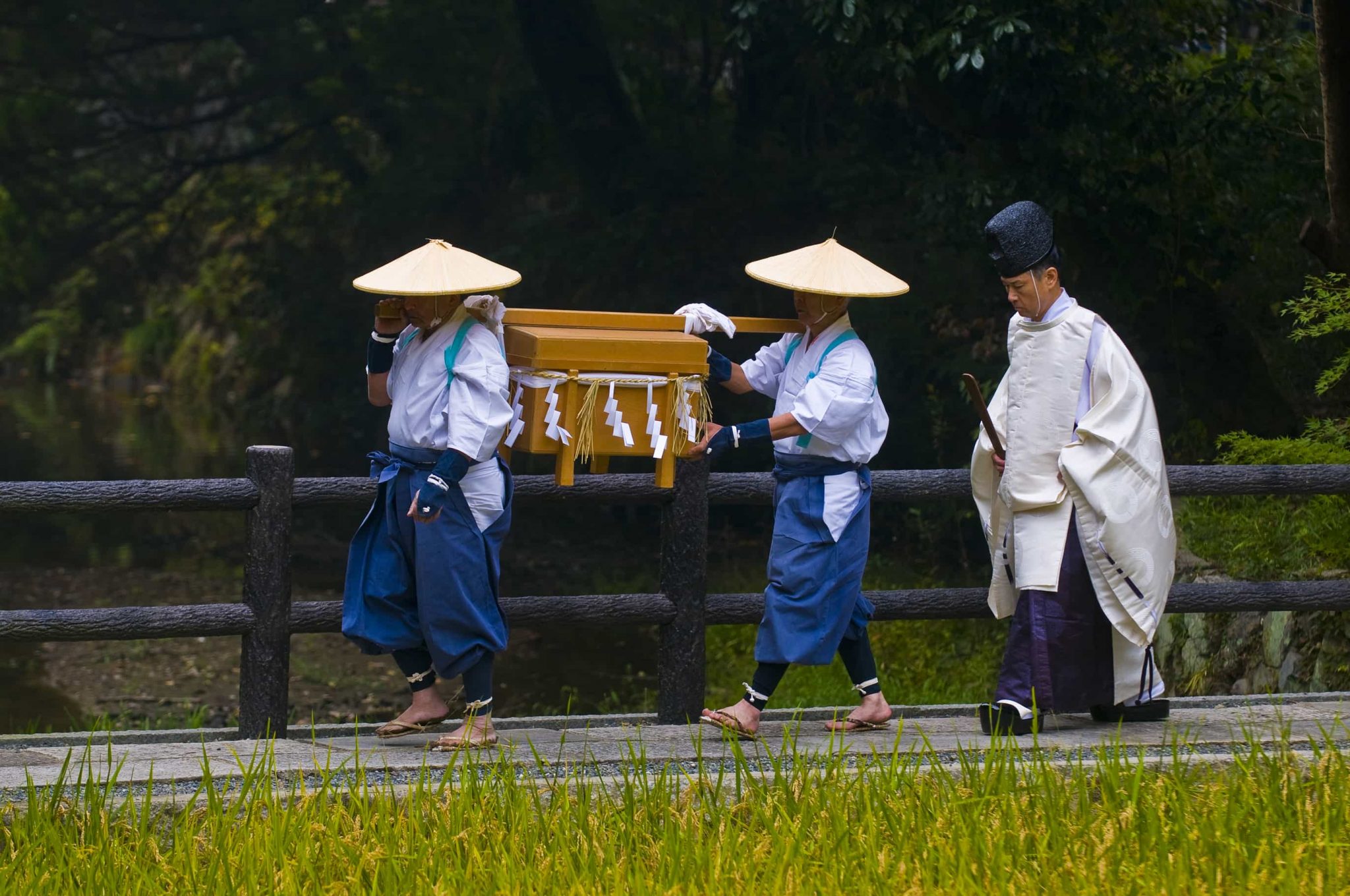 Japanese Rice: A Taste of Culture and History - Nspirement