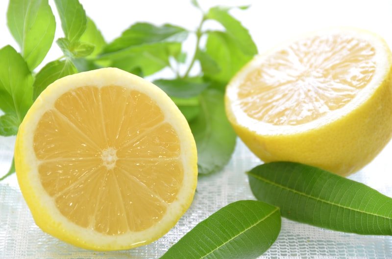 5 Types of Flower Tea to Improve Your Health and Wellbeing - Nspirement