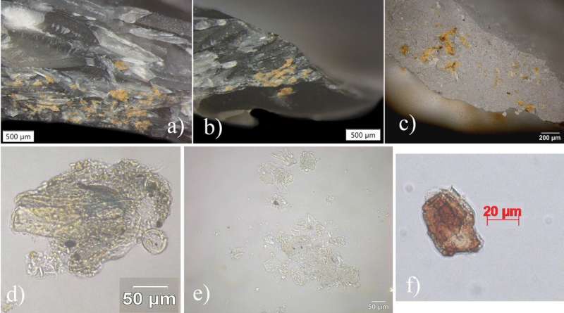 Tiny Flakes Tell a Story of Tool Use 300,000 Years Ago - Nspirement
