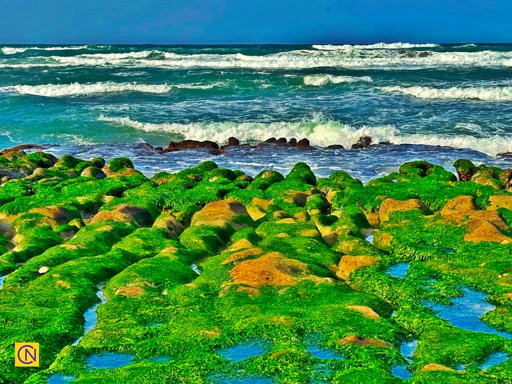 The Spectacular Laomei Green Reef of Taiwan - Nspirement