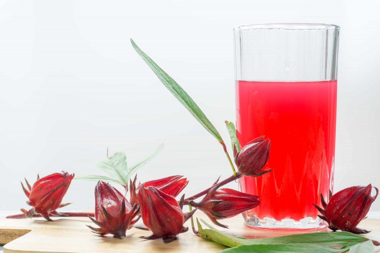 Unlock the Secrets to Weight Loss With the Roselle Plant! - Nspirement