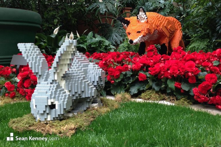 Sean Kenney: Creating Realistic Animal Sculptures With LEGO Bricks ...