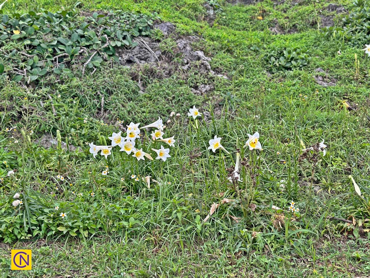 One of the Most Beautiful Lighthouses in Taiwan: Green Island ...