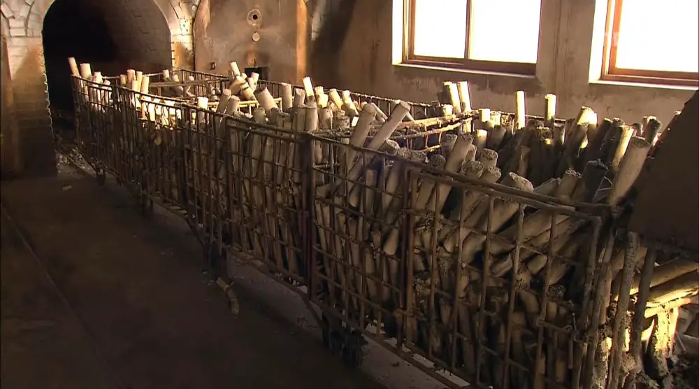 Korean Bamboo Salt: Everything You Need to Know - Nspirement