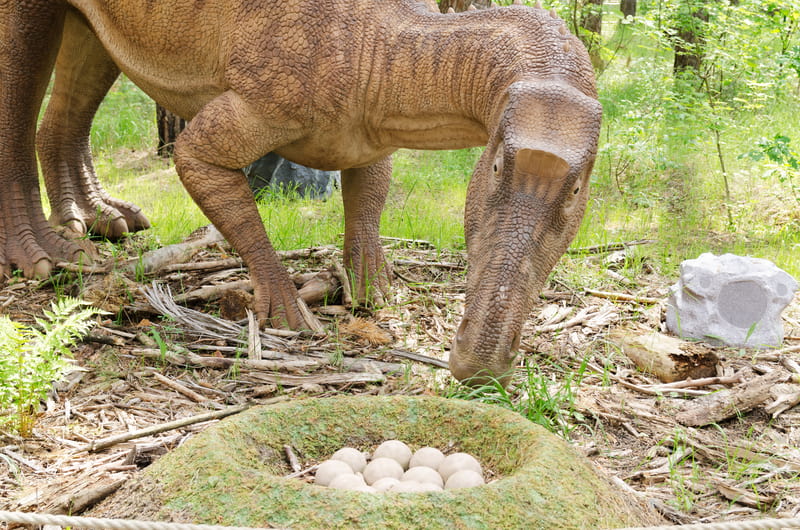 Holes in Baby Dinosaur Bones Show How Football-Sized Hatchlings Grew to ...