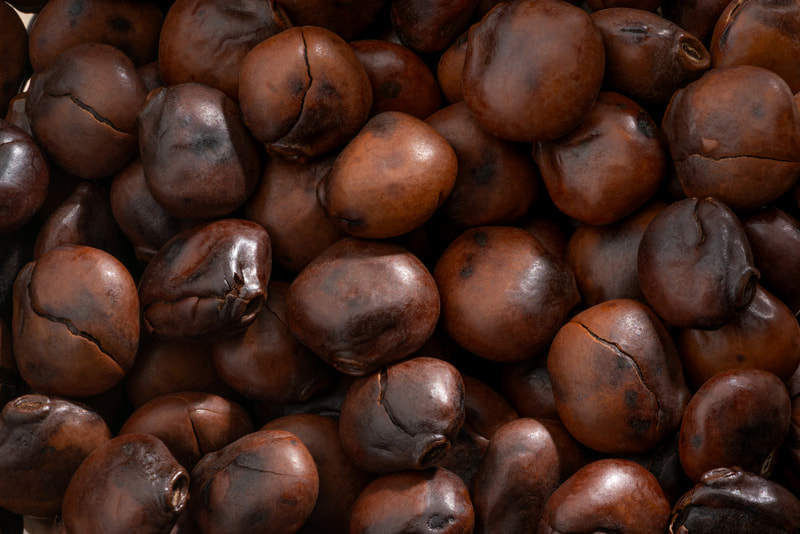 Lupin Coffee: The Ancient, Caffeine-Free Alternative to Traditional ...