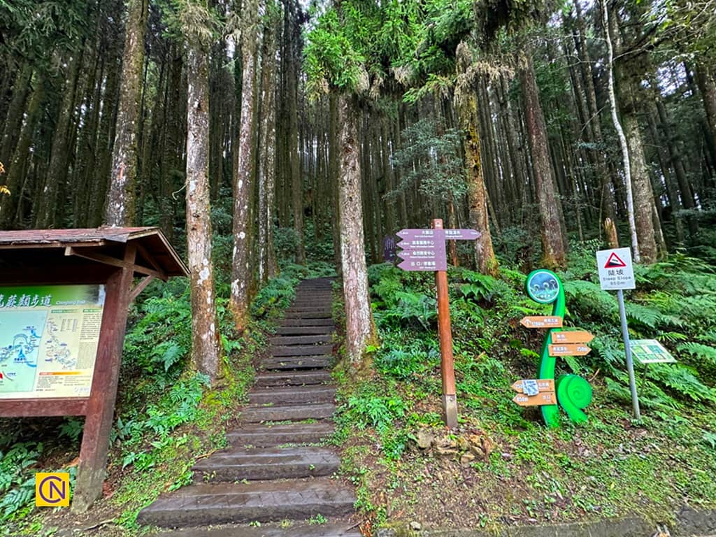 The Sun Link Sea Forest Recreation Area in Taiwan - Nspirement
