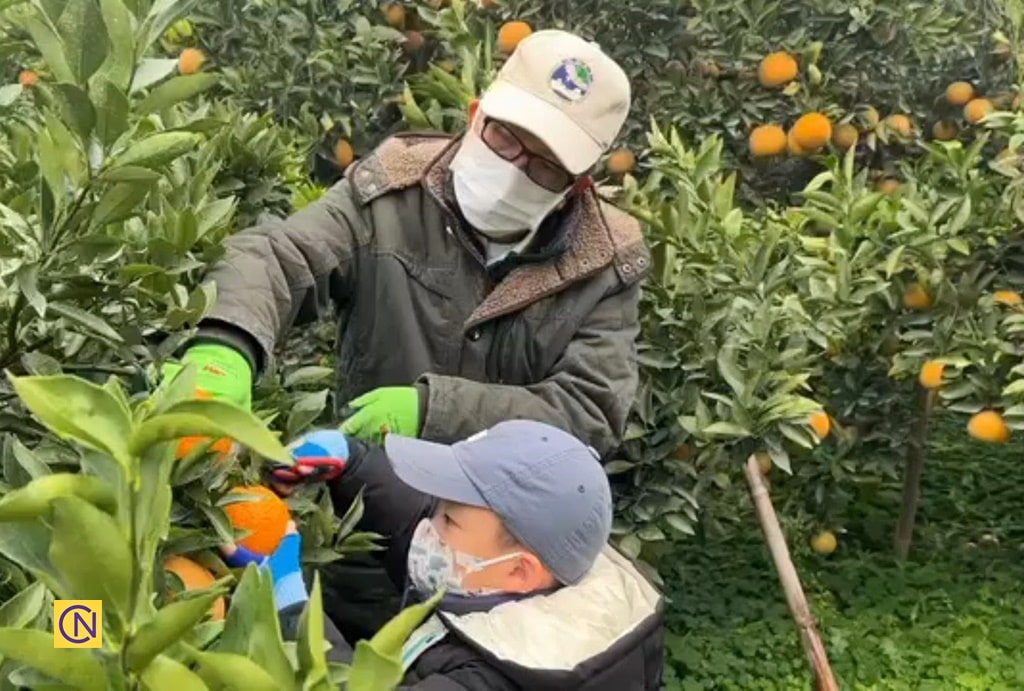 Interesting Leisure Farms in Taiwan’s Hsinchu County - Nspirement