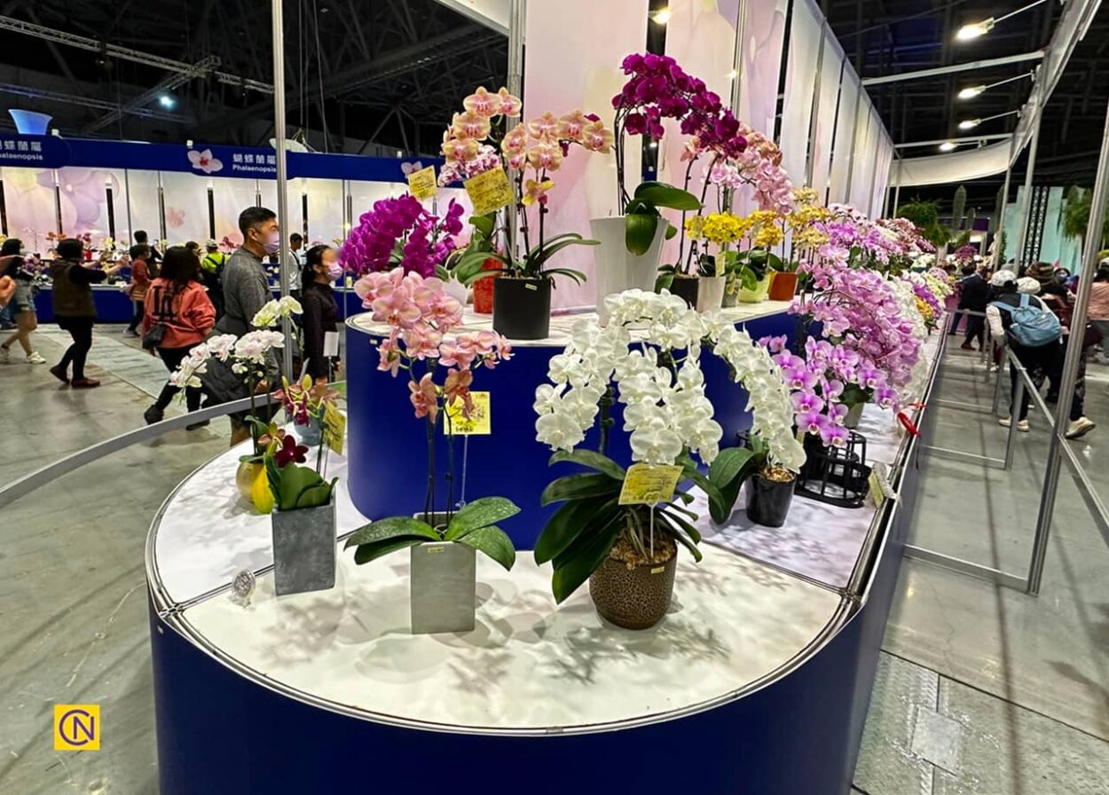 Historic Dual International Orchid Expos in Taiwan - Nspirement